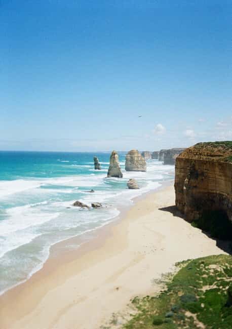 From Melbourne: Great Ocean Road, Dingos, Sparkling & Lunch - Final Thoughts