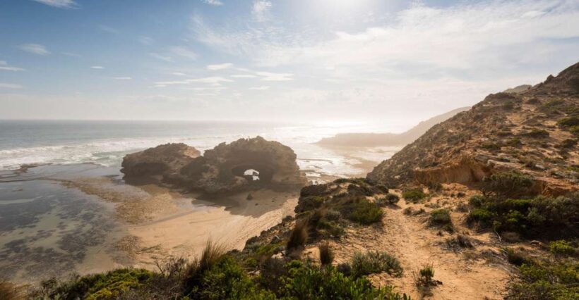 From Melbourne: Mornington Peninsula: Sightseeing Tour - What You Can Expect from the Tour