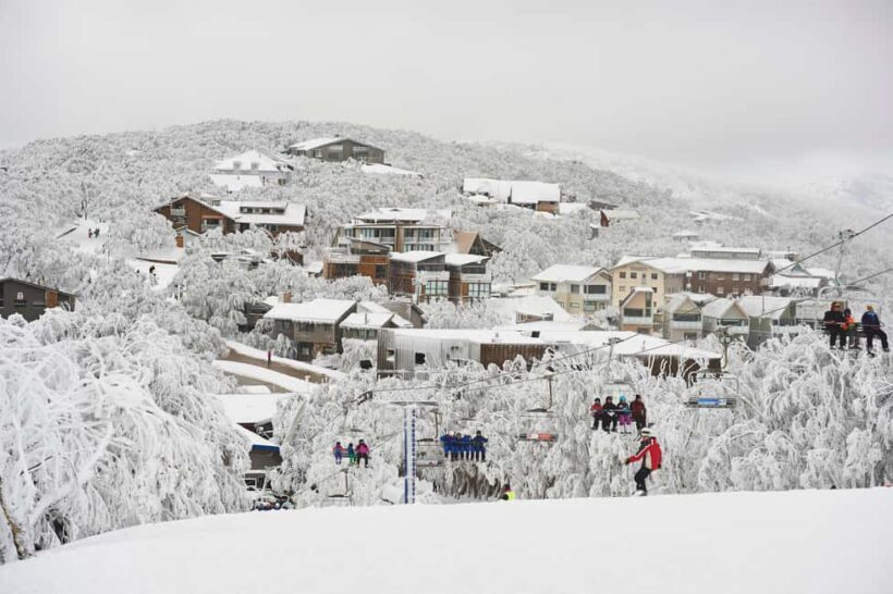 From Melbourne: Mount Buller Day Tour with Resort Entry - Introduction