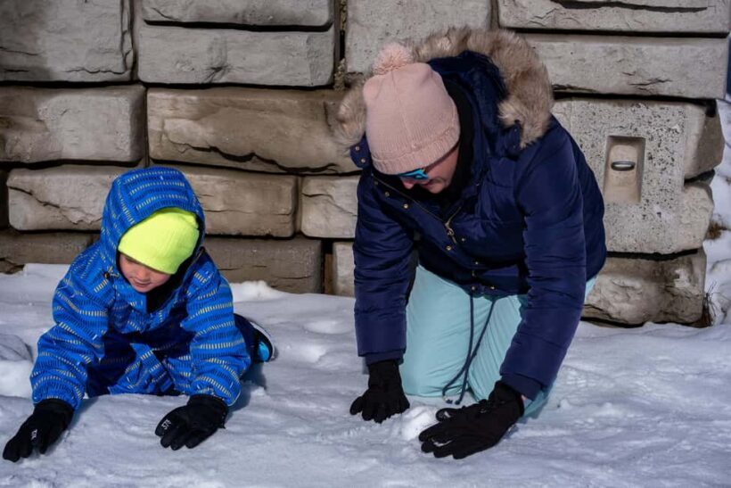 From Melbourne: Mount Buller Day Tour with Resort Entry - Final Thoughts