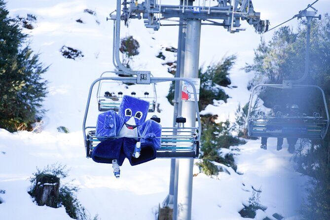 From Melbourne Mt Buller Enchanting Winter Day Tour - The Scenic Journey Begins