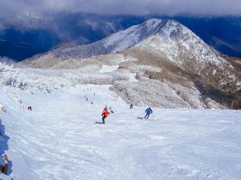 From Melbourne: Mt Buller Scenic Snow Getaway Day Tour - The Experience of Visiting Mt Buller