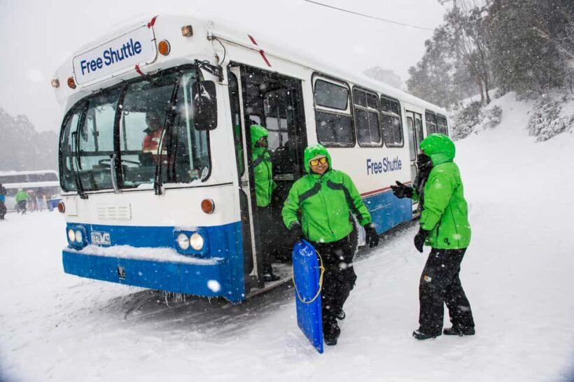 From Melbourne: Mt. Buller Sightseeing Day Trip Transfers - Who Should Consider This Tour?