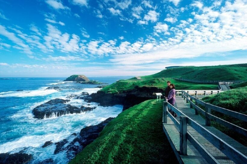 From Melbourne: Penguin Parade Afternoon Tour - FAQ