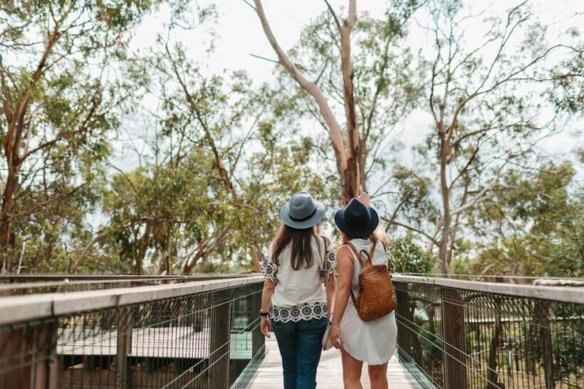 From Melbourne: Penguin Parade and Koalas Tour - FAQ