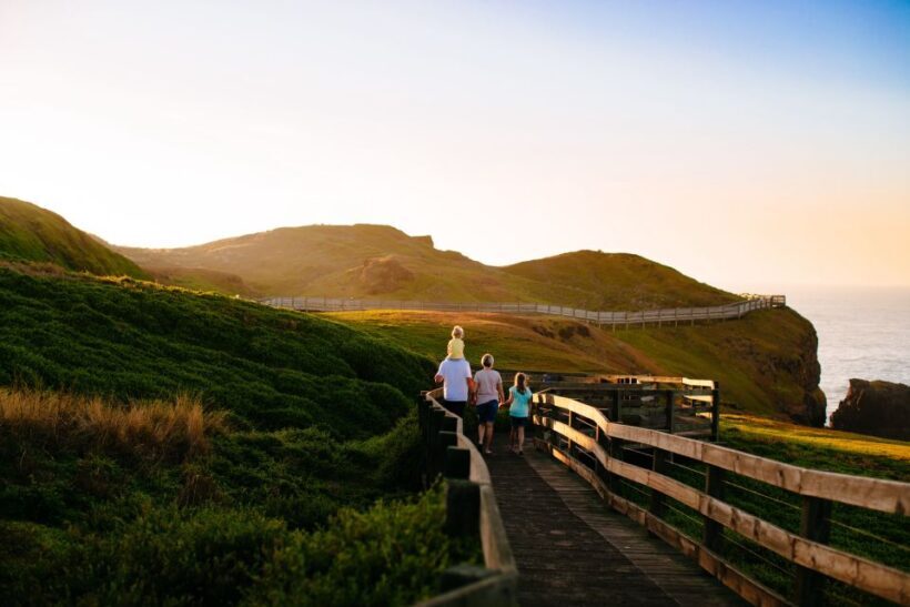 From Melbourne: Penguins and Wildlife Nature Day Tour - Transportation, Group Size, and Value