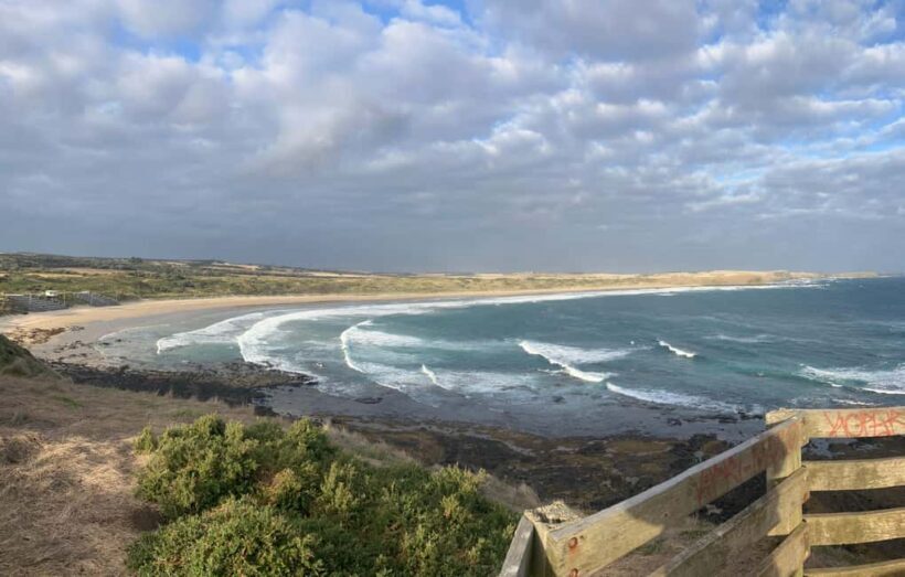 From Melbourne: Phillip Is Penguin Parade & Koala Reserve - The Sum Up