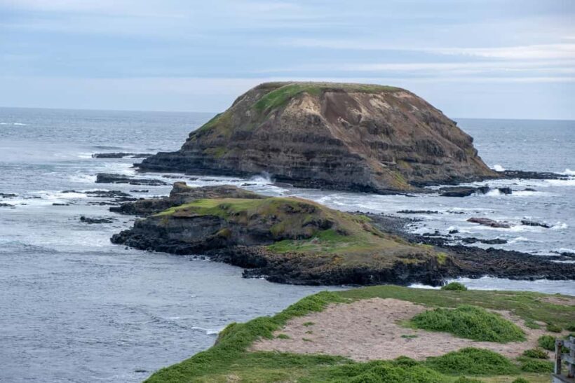 From Melbourne: Phillip Island and Penguin Parade Day Tour - The Sum Up: Who Will Love This Tour?