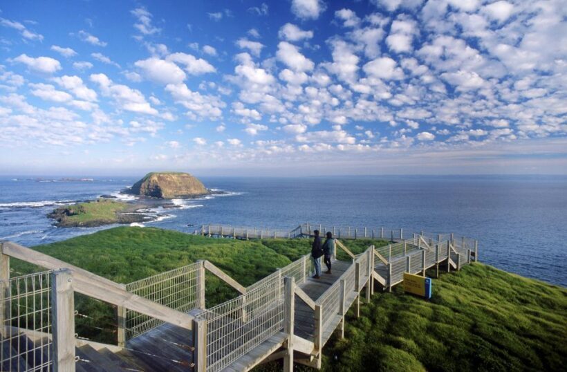 From Melbourne: Phillip Island Penguin Parade Eco Tour - Key Points
