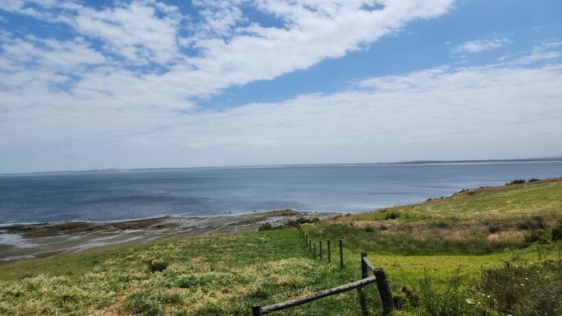 From Melbourne: Phillip Island Penguin Parade Private Tour - Wildlife Encounters and Nature