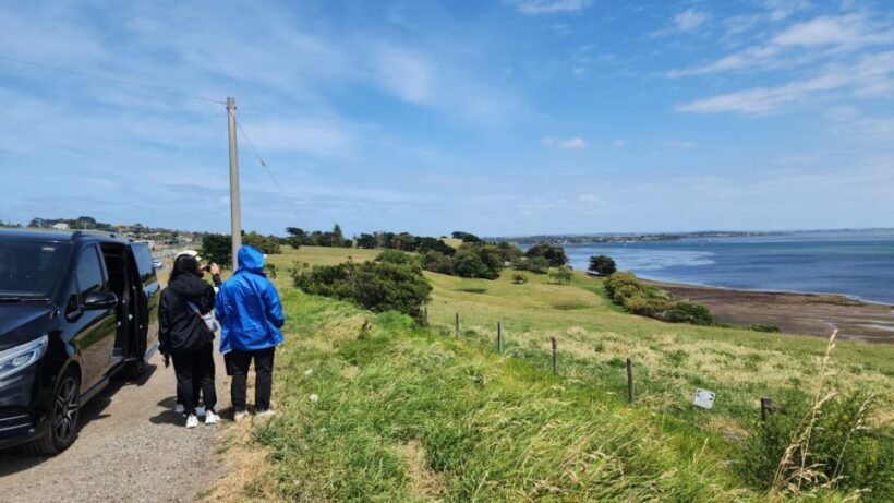 From Melbourne: Phillip Island Penguin Parade Private Tour - Price and Value