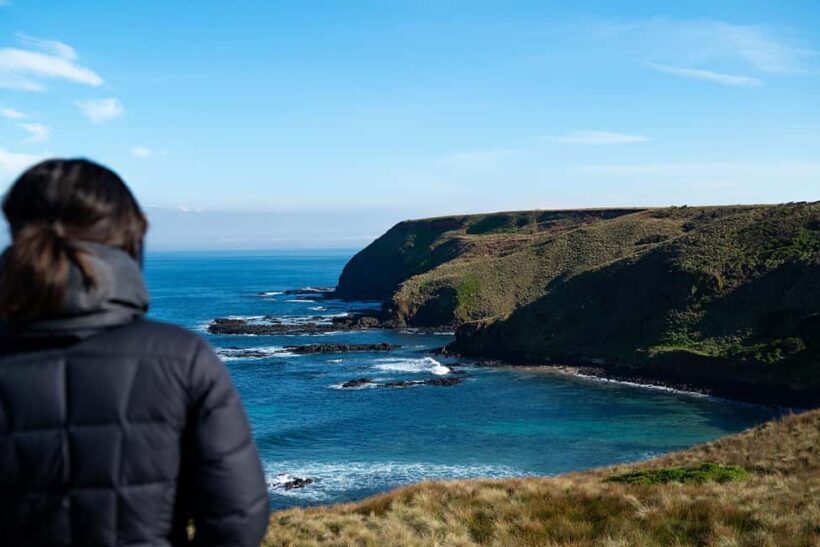 From Melbourne: Phillip Island Penguin Plus - Grandstand - Introduction