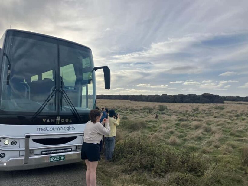 From Melbourne: Phillip Island Penguin Plus - Grandstand - Exploring Cowes & Chocolate Factories