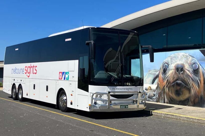 From Melbourne: Phillip Island Penguin Plus - Grandstand - The Return Journey and Practical Details