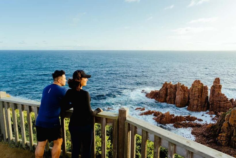 From Melbourne: Phillip Island Penguin Plus - Grandstand - Value and Considerations
