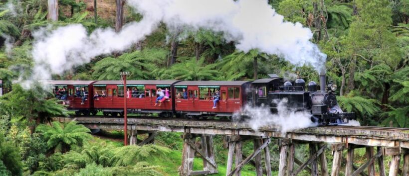 From Melbourne: Puffing Billy and Penguin Parade Combo Tour - Exploring the Itinerary: What You Can Expect