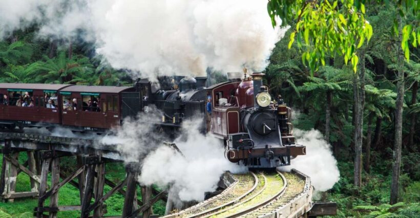 From Melbourne: Puffing Billy and Penguin Parade Combo Tour - Frequently Asked Questions (FAQs)