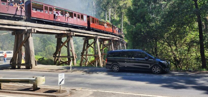 From Melbourne: Puffing Billy Private Tour - Up to 11 pax - Who Will Love This Tour?