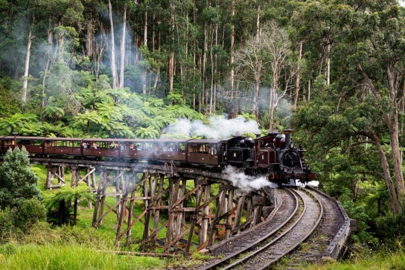 From Melbourne: Puffing Billy Train & Penguins Wildlife Tour - Key Points