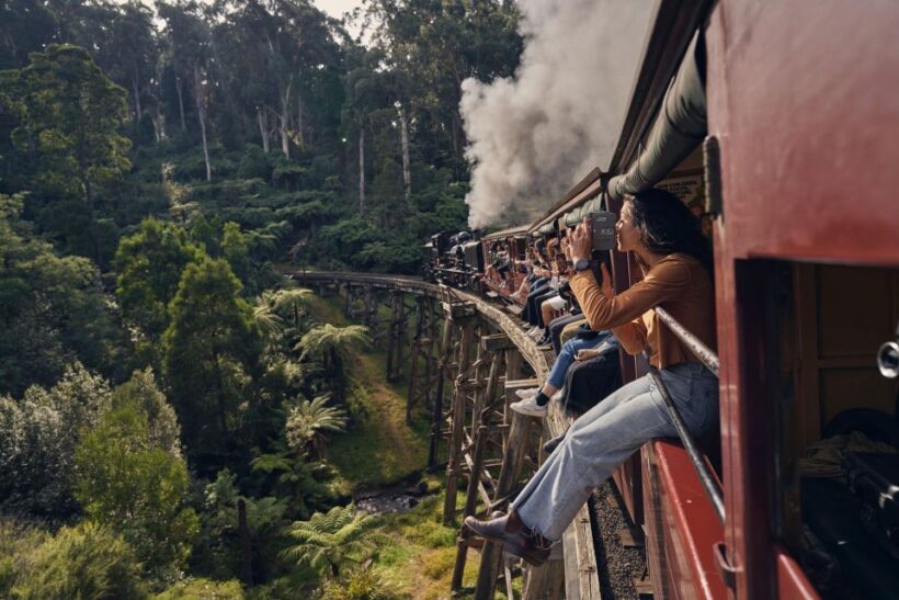 From Melbourne: Puffing Billy Train & Penguins Wildlife Tour - A Detailed Look at the Tour Experience