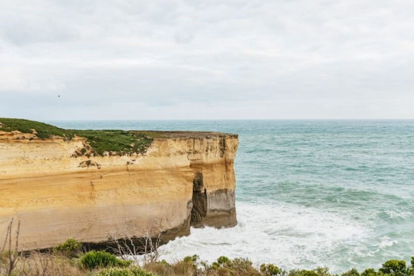 From Melbourne: Small-Group Great Ocean Road Day Trip - The Experience of the Guides and Vehicles