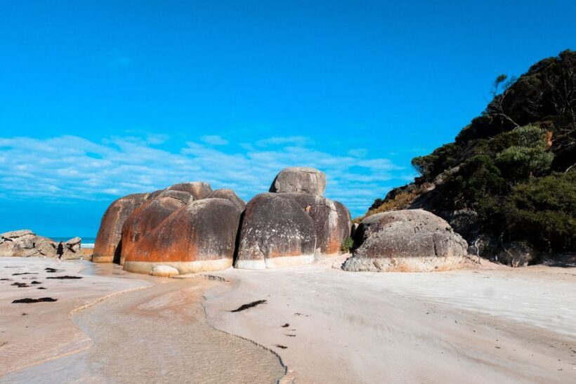 From Melbourne: Wilsons Promontory Small Group Day Tour - An Introduction to the Wilsons Promontory Experience