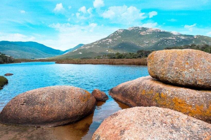 From Melbourne: Wilsons Promontory Small Group Day Tour - Authentic Encounters and Practicalities