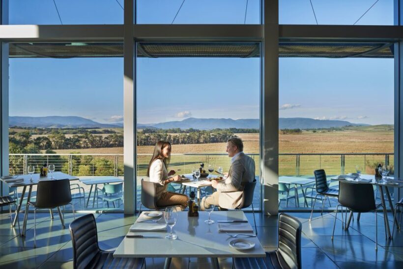 From Melbourne: Yarra Valley Wildlife & Wine Day Tour - Final Thoughts