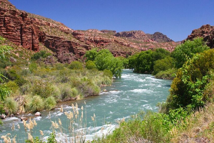 From Mendoza: San Rafael Sightseeing and Atuel Canyon Tour - The Journey and What You Can Expect