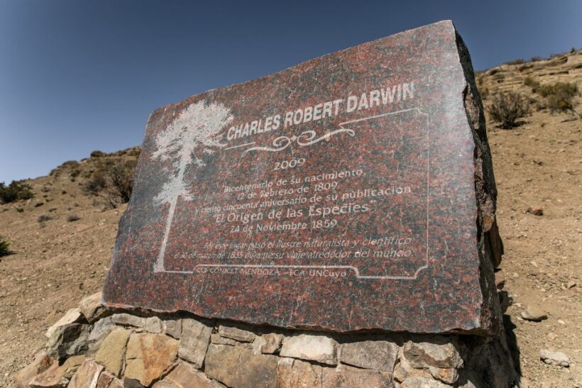 From Mendoza: Villavicencio, Uspallata Private Tour With BBQ - Unpacking What to Expect on This Tour