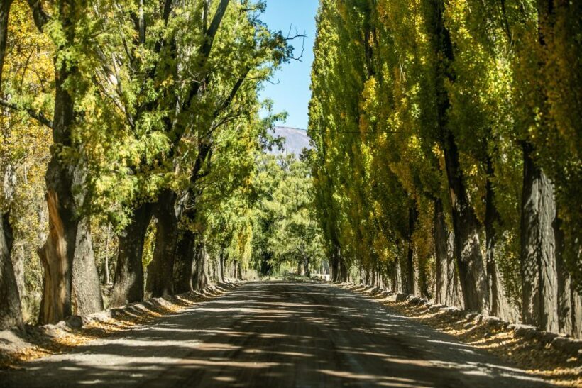 From Mendoza: Villavicencio, Uspallata Private Tour With BBQ - Final Thoughts