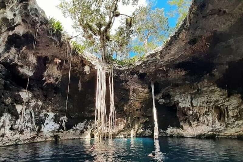From Merida: 3 Cenotes - Authentic Insights from Travelers