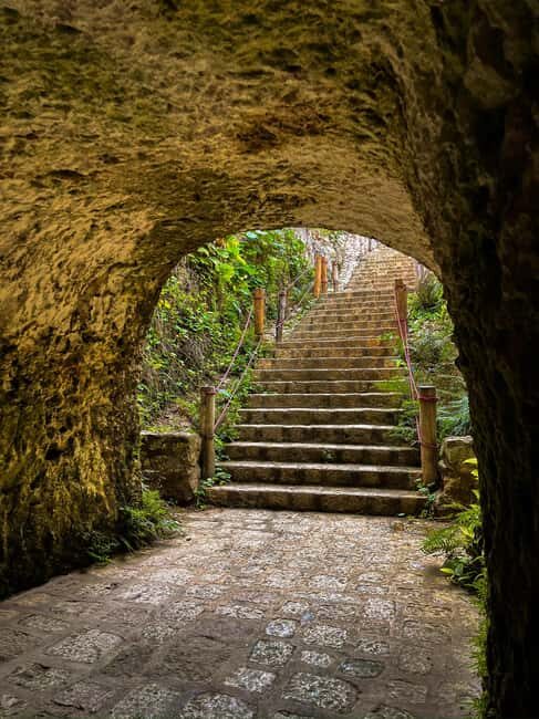 From Merida: 3 Cenotes - Who Should Consider This Tour?