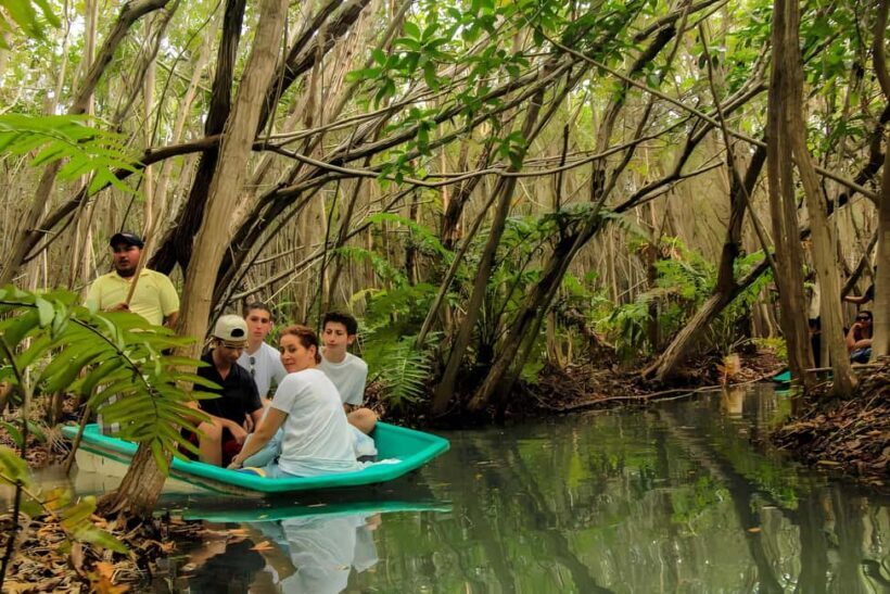From Merida: Beach, Mangrove and something more - An Overview of What You Can Expect from the Tour