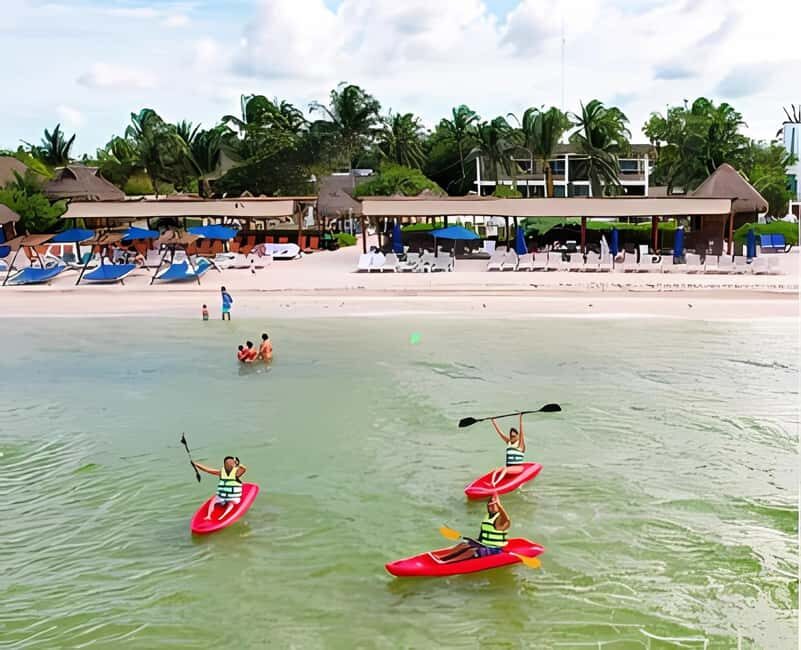 From Merida: Beach, Mangrove and something more - What’s Included and What to Consider