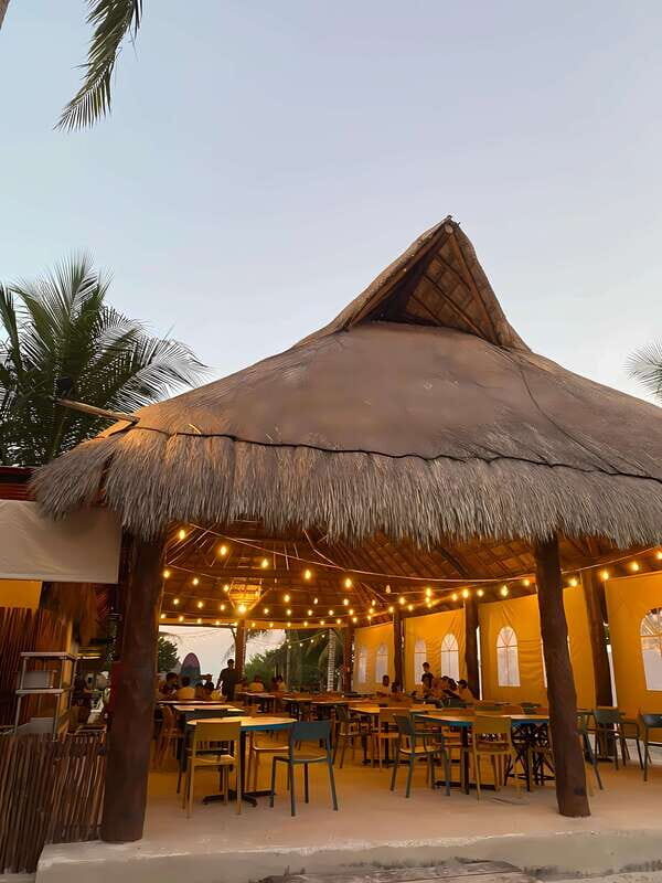 From Merida: Beach, Mangrove and something more - Final Thoughts: Who Is This Tour Perfect For?