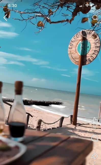 From Mérida: Beach Tour - Overall Value and Who Should Consider This Tour