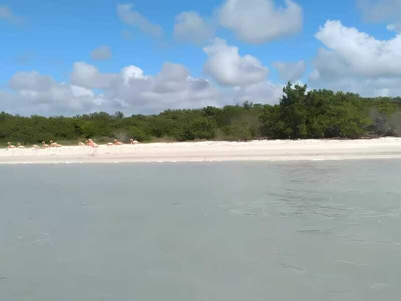 From Merida: Celestun, flamingos and beach - The Sum Up: Who Will Find Value in This Experience?