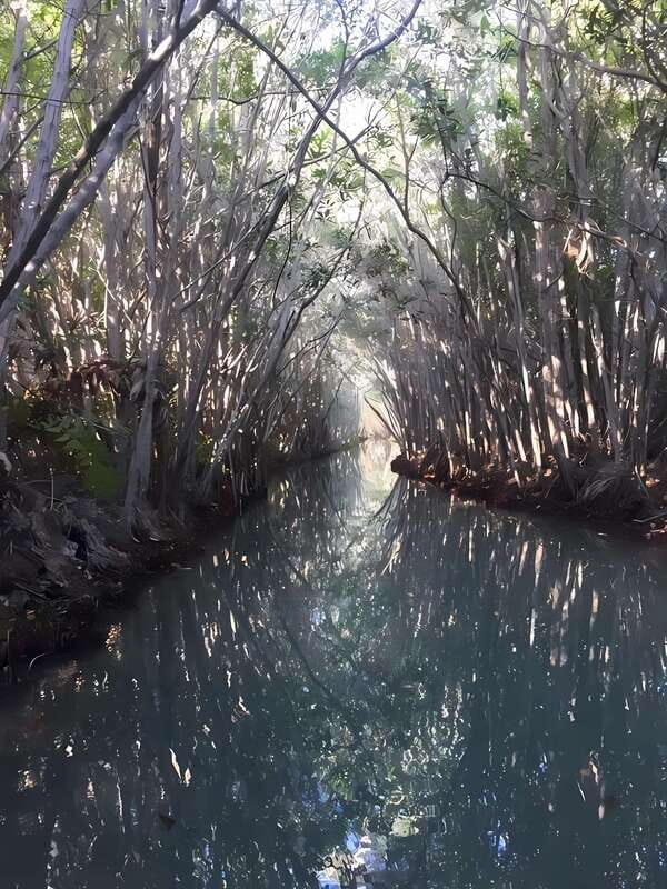 From Mérida: Enjoy nature, cenotes and beach in one day - The Beach at Yucalpetén
