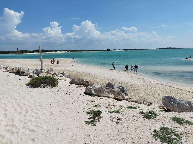 From Merida: Isla Columpios & Progreso - Logistics & Practical Details