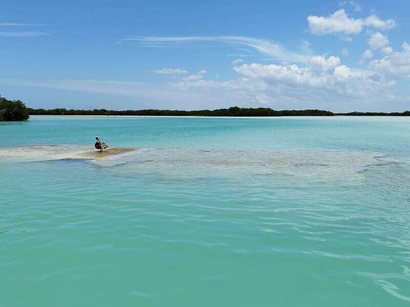 From Merida: Isla Columpios & Progreso - Summing Up the Experience