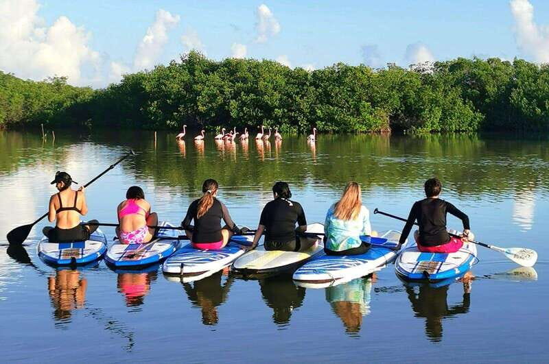 From Mérida: Paddel board, Sunshine and beach - An Authentic Yucatán Experience with a Touch of Adventure