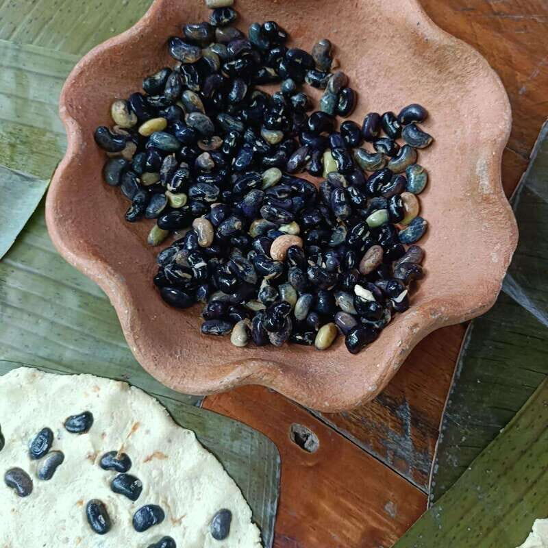 From Merida: Peanuts, our Mayan ancestors - Who Will Love This Tour?