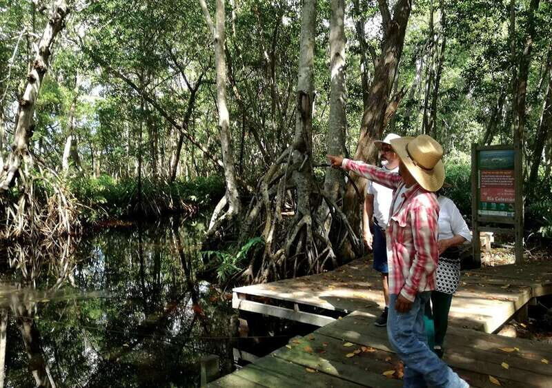 From Mérida: Ria Celestun Biosphere Reserve Tour - Why This Tour Might Be Perfect for You