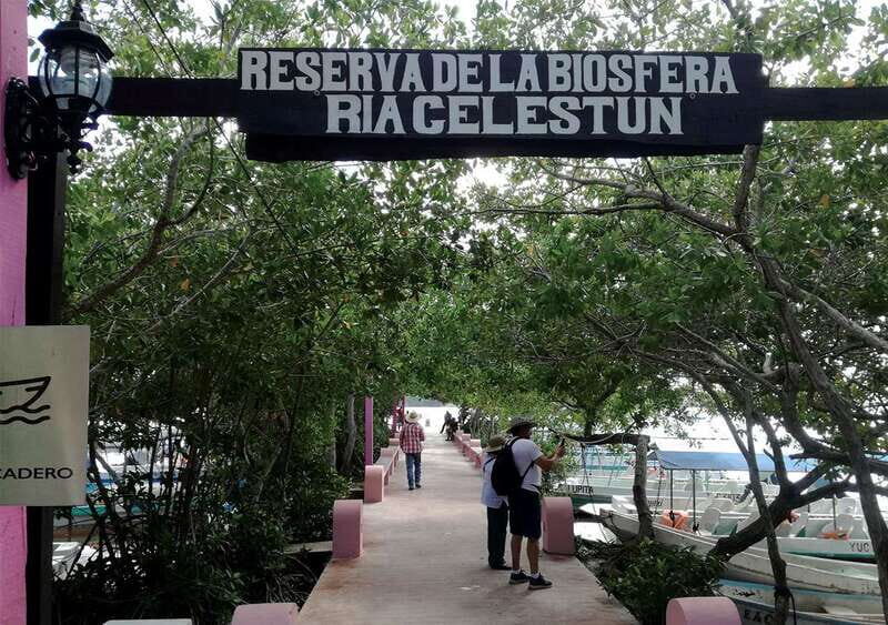 From Mérida: Ria Celestun Biosphere Reserve Tour - FAQ
