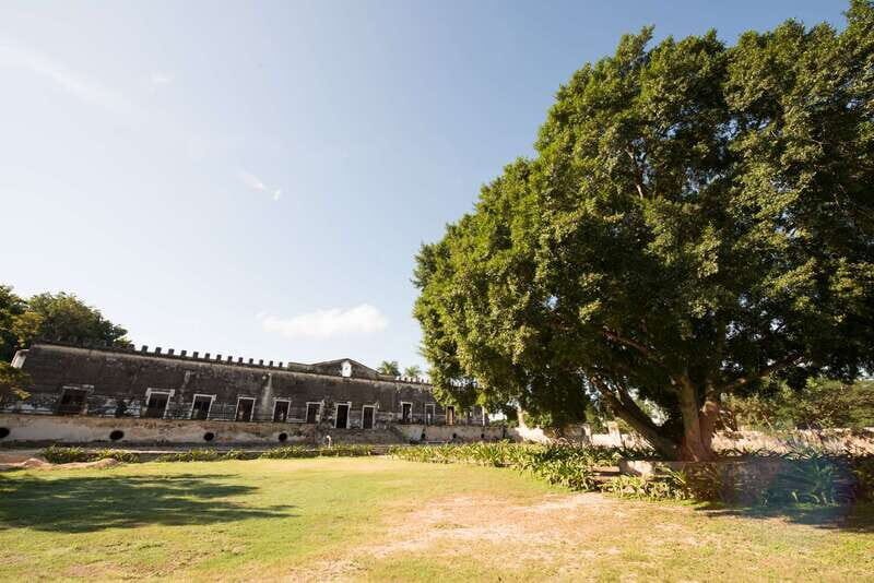 From Merida: Uxmal, Hacienda Yaxcopoil and Cenote with Lunch - Uxmal: A Mayan Marvel