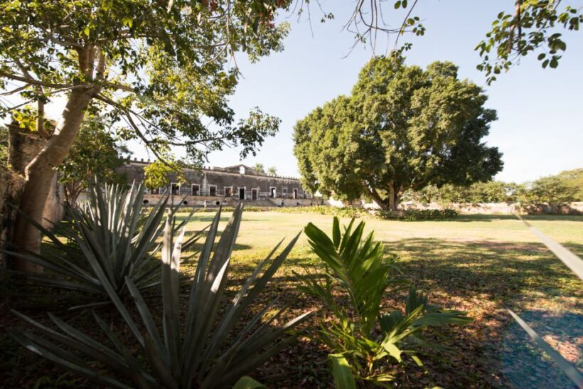 From Merida: Uxmal, Hacienda Yaxcopoil and Cenote with Lunch - The Real Value of This Tour