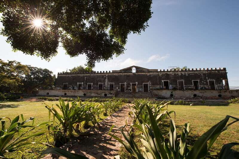 From Merida: Uxmal, Hacienda Yaxcopoil and Cenote with Lunch - Who Will Love This Tour?