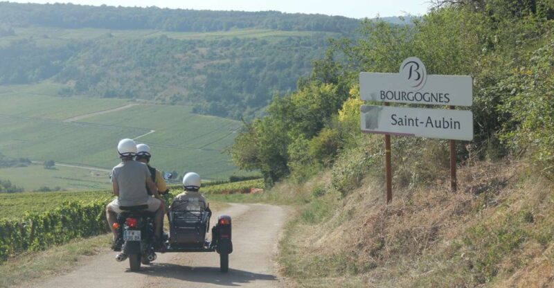 From Meursault: Private Sidecar Tour & Vineyard Wine Tasting - The Vineyards and Tasting Experience