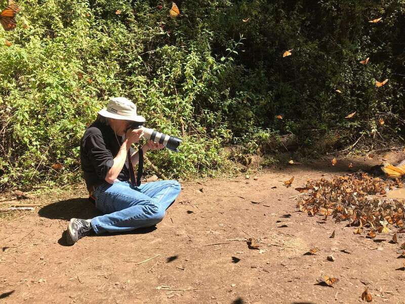 From Mexico City: 7-Day Monarch Butterfly Tour - In-Depth Review of the 7-Day Monarch Butterfly Tour